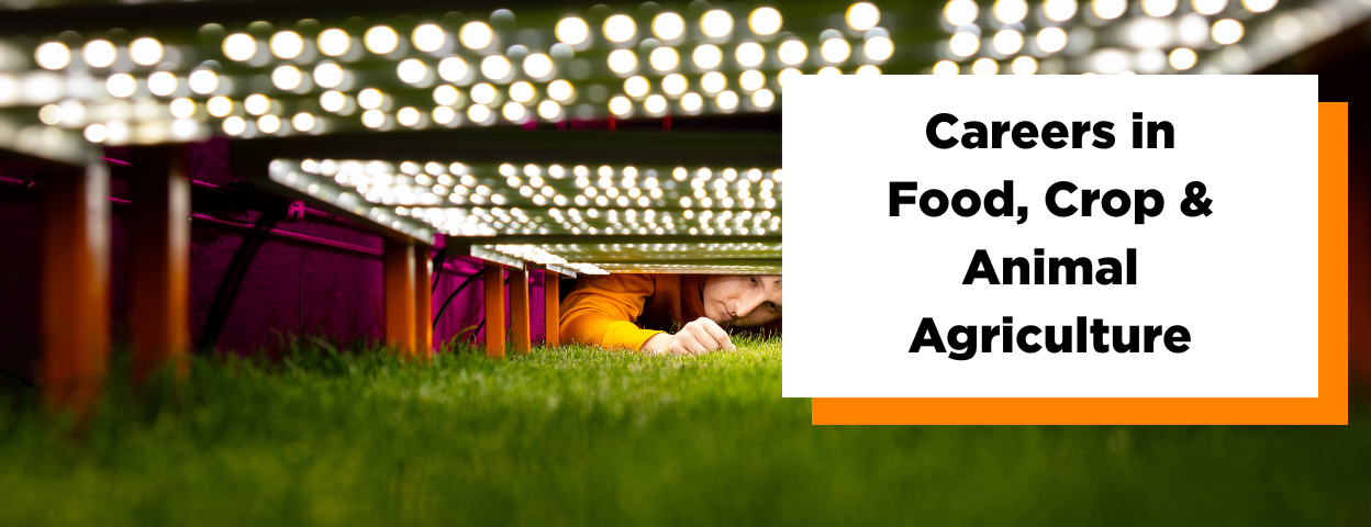 Food, Crop, & Animal Agriculture - Center for Career Development ...