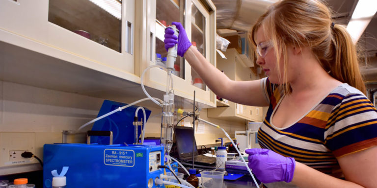 SMaRT Internship Program - Office of Undergraduate Research ...