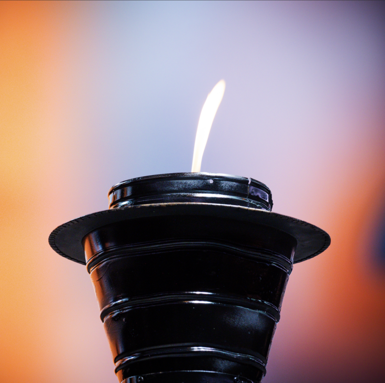 Division of Student Success | The University of Tennessee, Knoxville