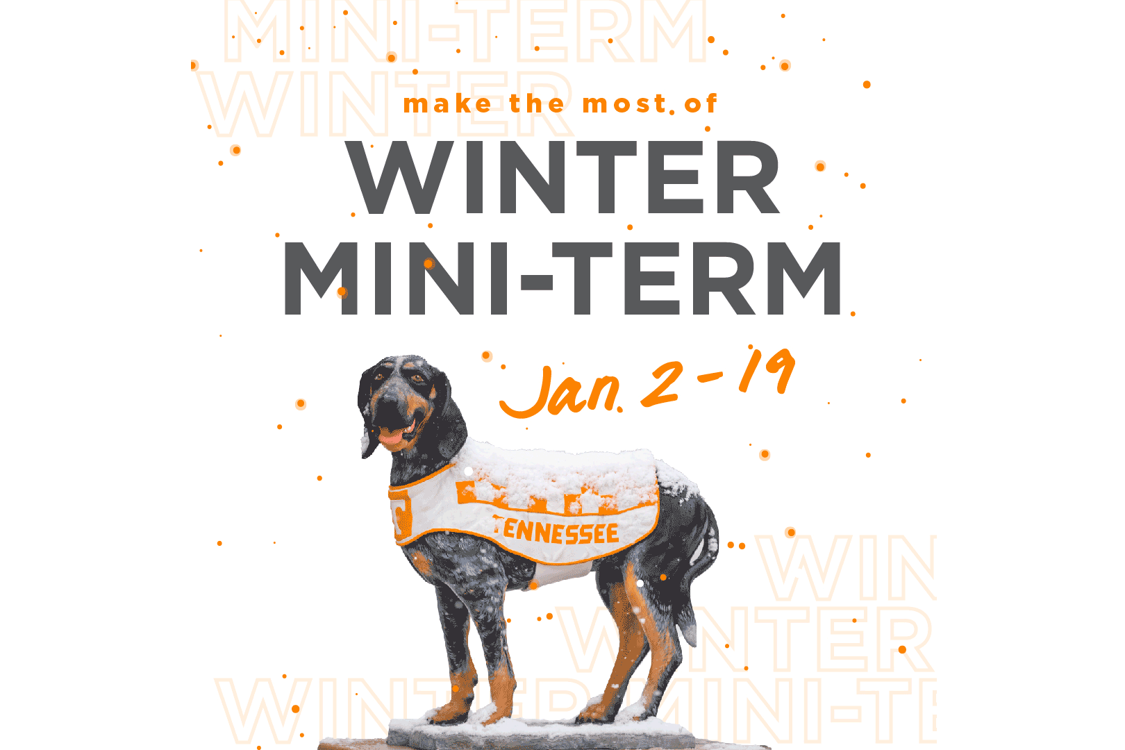 Division of Student Success | The University of Tennessee, Knoxville