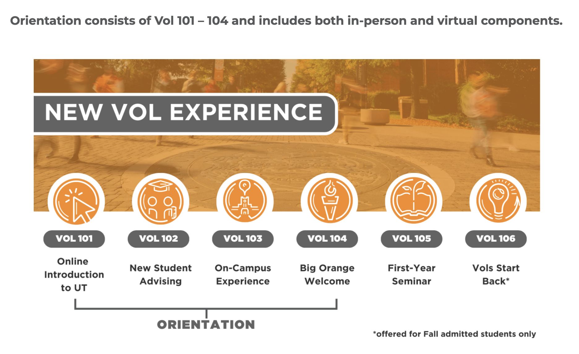 Vol First-Year Experience - Division of Student Success